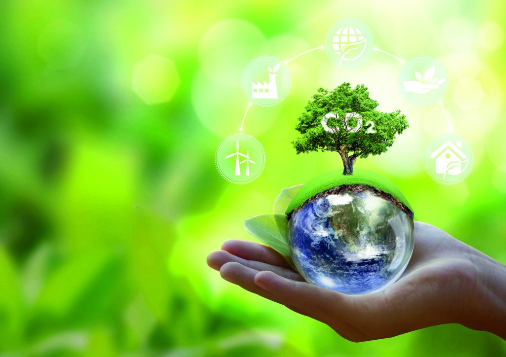 Carbon Reduction Plan - The Housing Network